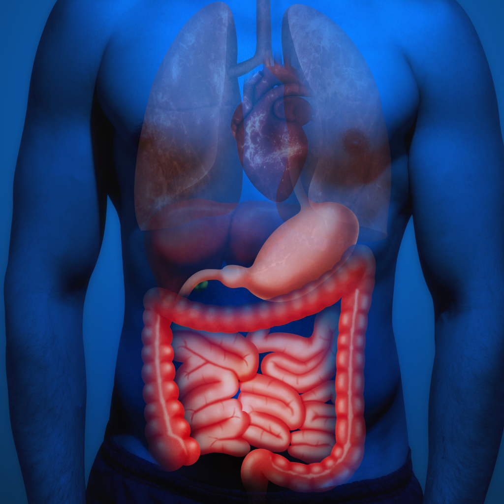 SIBO - objawy, leczenie i dieta dla problemów z jelitem